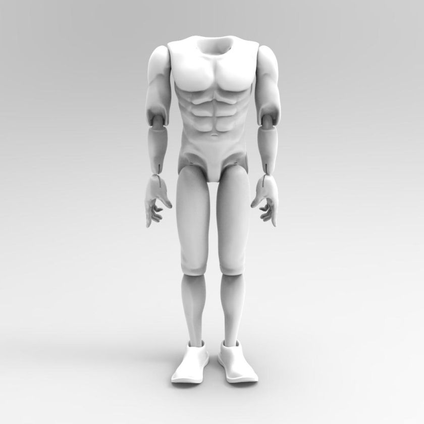3d Printer Human Model